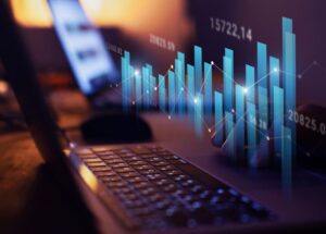 Government Software Development Services: State and Local Municipal E-Government Software Solutions